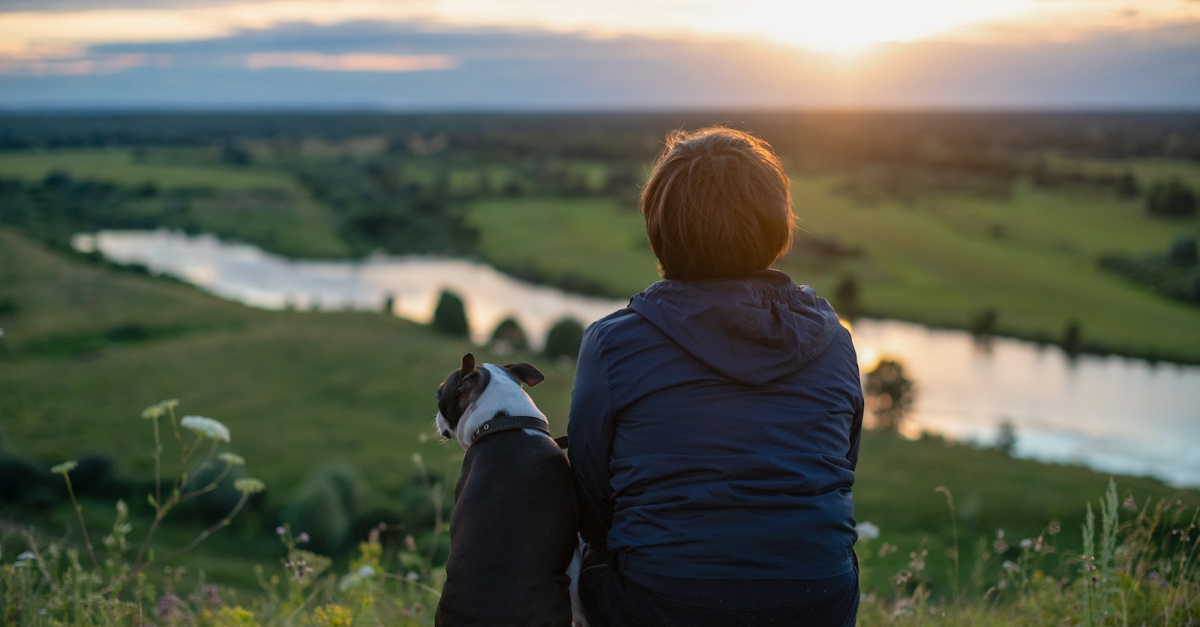 Vivre en harmonie avec son chien : comment le protéger et respecter ses ...