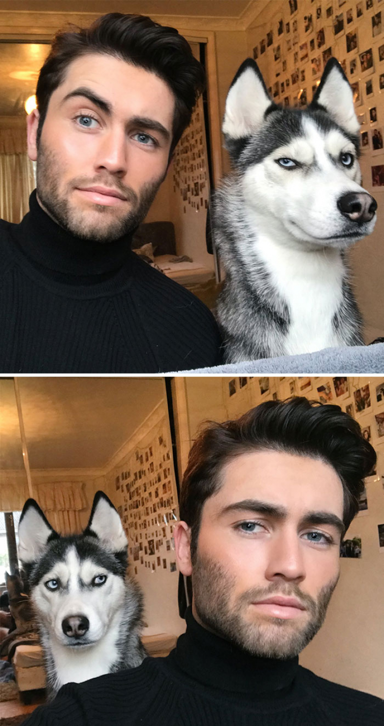 13 ravissantes photos réunissant des chiens et leur version humaine