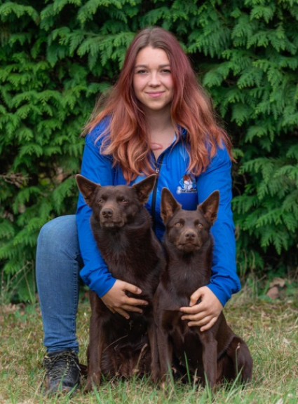 Cani-gourmand propose des friandises 100% naturelles et des accessoires ...