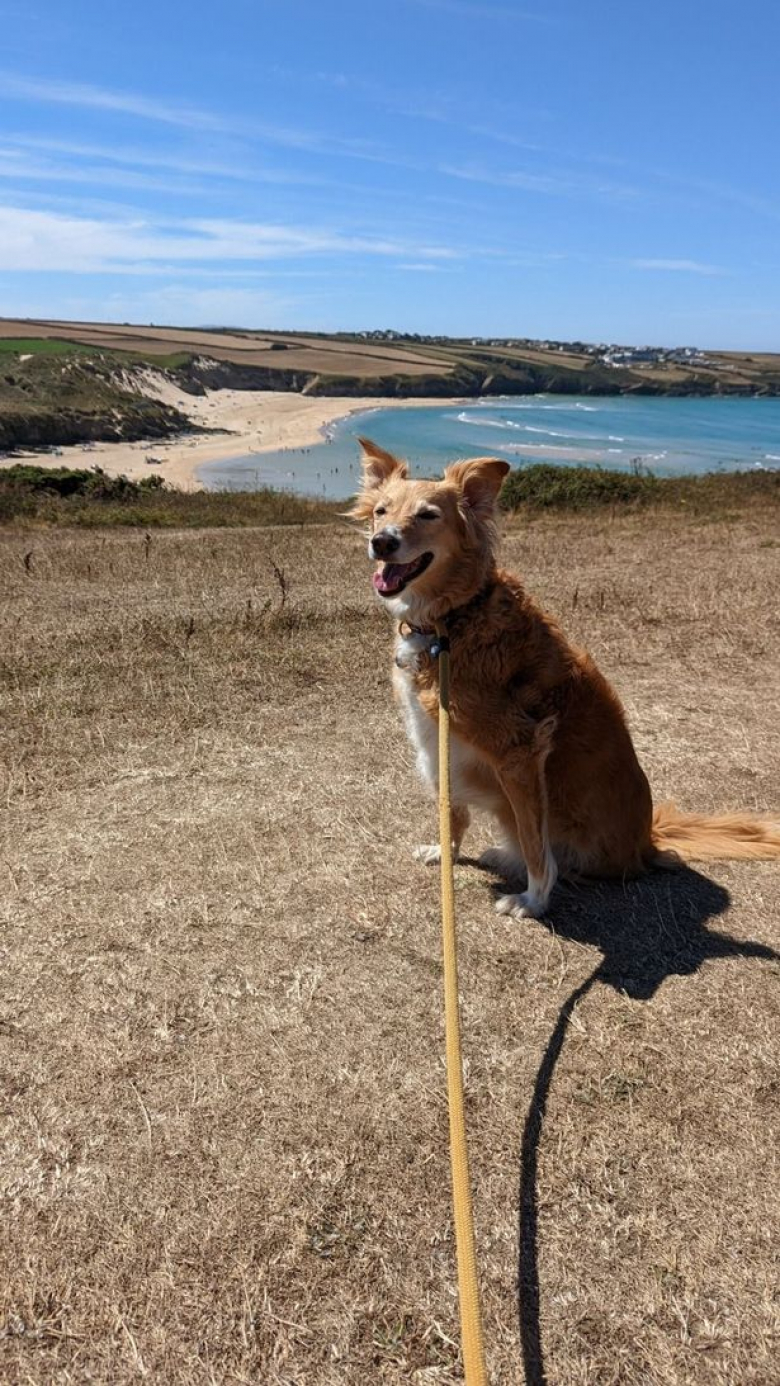 C’est grâce à la présence de son chien bien-aimé que cette femme ...