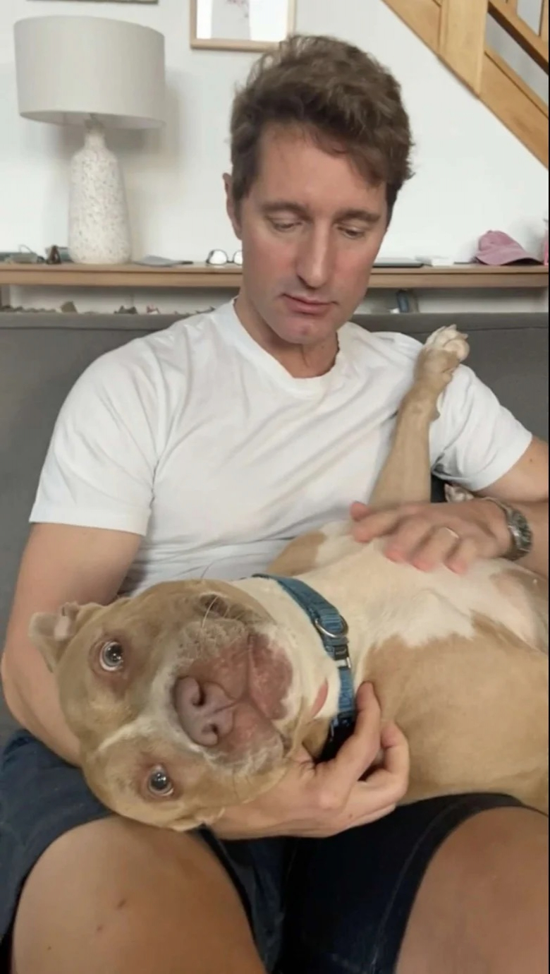 Cette chienne victime d’abandon a trouvé une famille d’accueil aimante ...