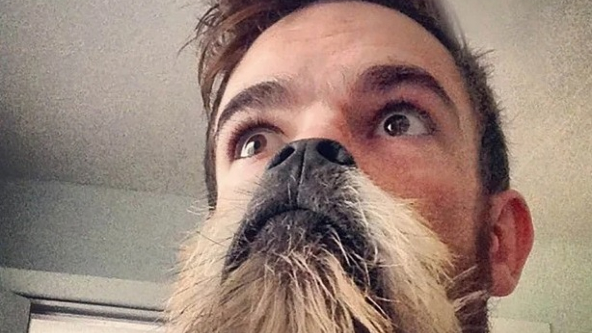 9 selfies déconcertants où les visages du chien et de son humain fusionnent
