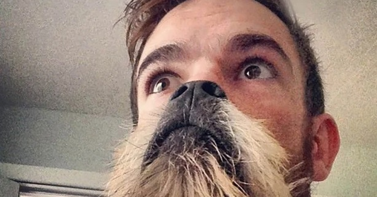 9 selfies déconcertants où les visages du chien et de son humain fusionnent