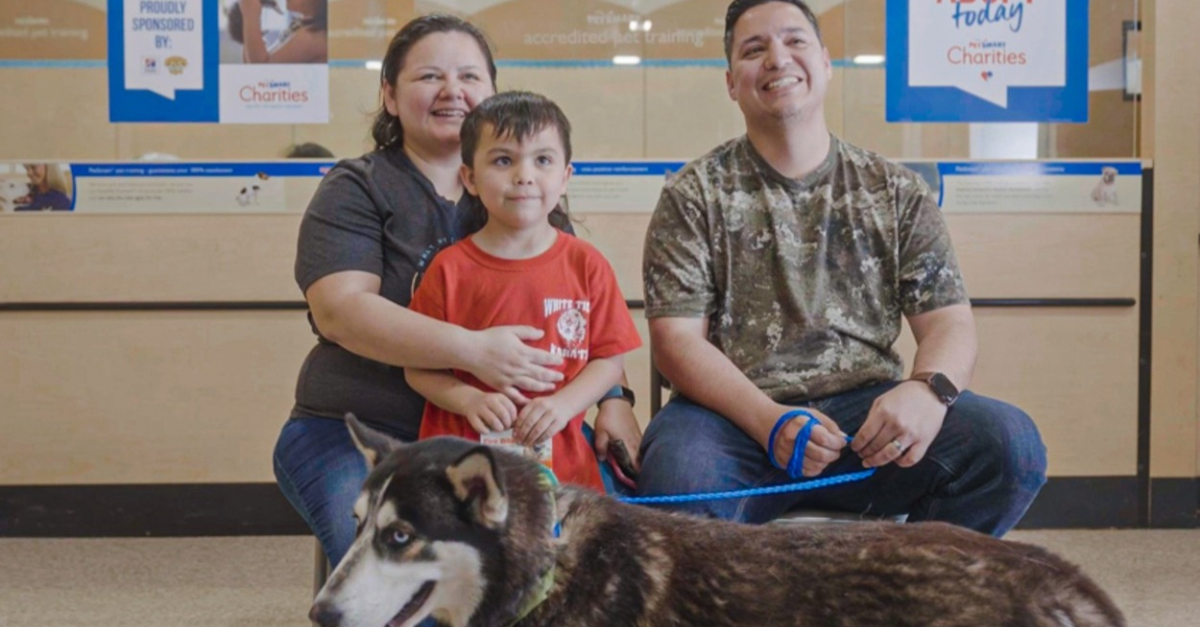 Un Husky aide le refuge qui l’a sauvé à atteindre les 10 millions d’adoptions