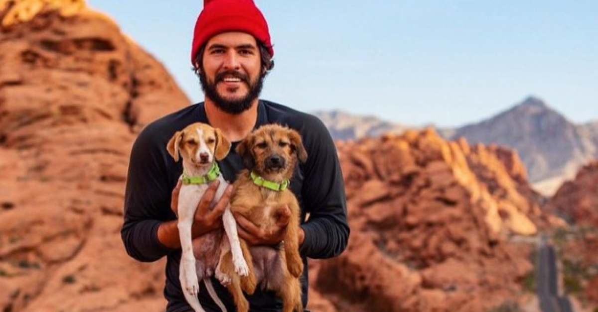 Alors qu’il pense venir en aide à 6 chiens errants, un homme sauve en ...