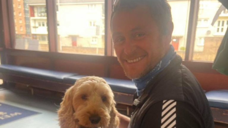 Un chien piqué par un essaim de guêpes et en plein choc anaphylactique ...