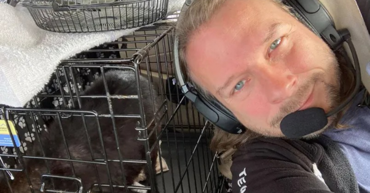 Un chien perdu retrouve sa famille, après 10 années de disparition, et ...