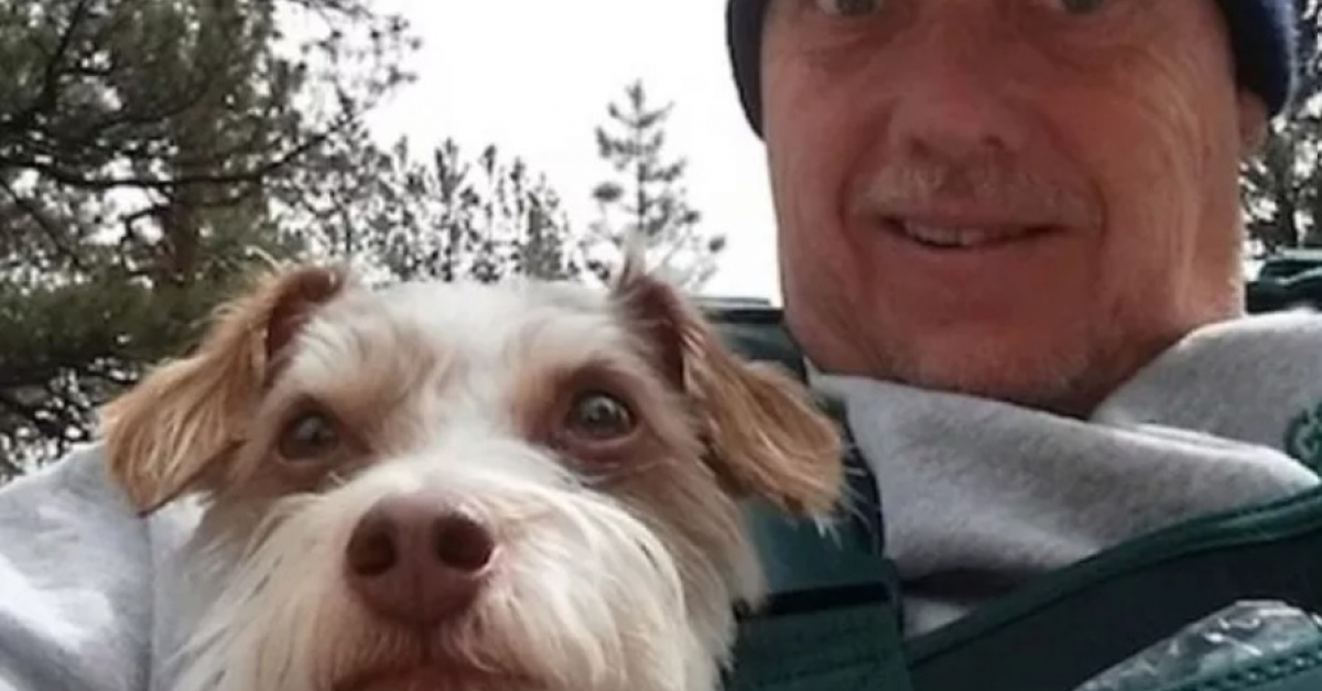 Un chien espère échapper à l'abandon malgré son sauvetage lors d'un ...