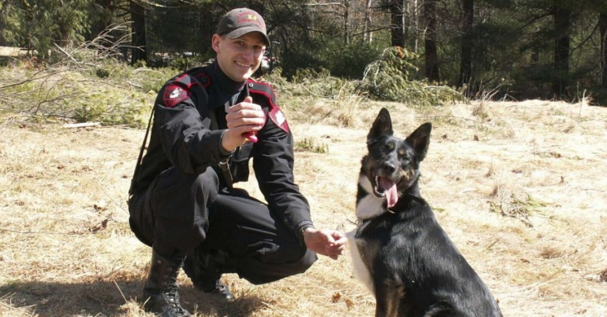 La revanche sur la vie d'une chienne mal-aimée qui devient sauveuse et ...