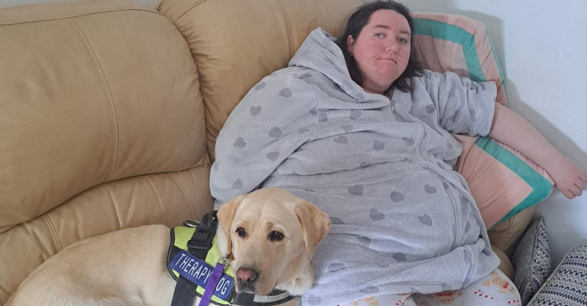 Véritable miracle, un chien d’assistance permet à une mère et à sa ...