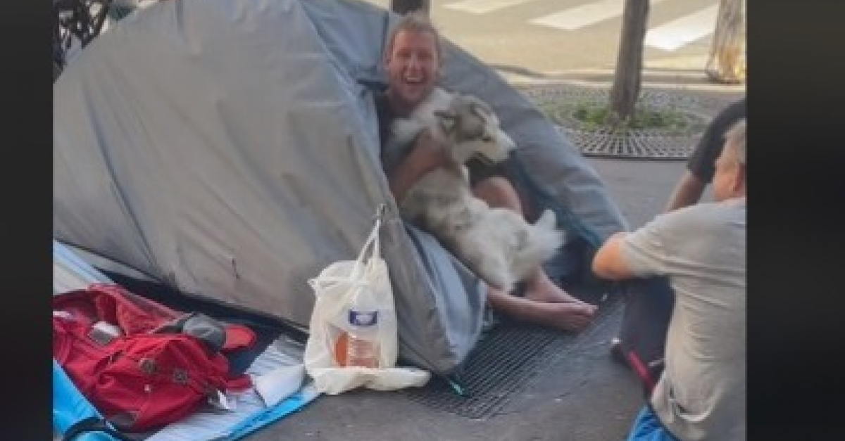 Sora, le Husky Sibérien, donne une belle leçon de vie à son maître, en ...