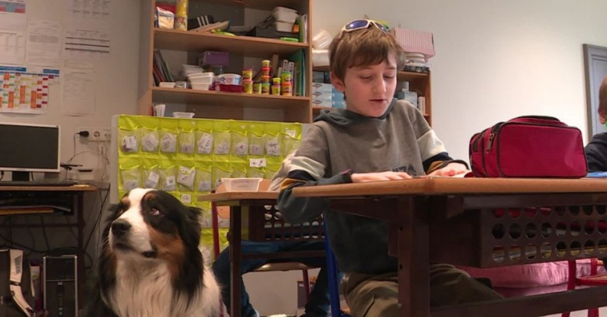 La présence d’un chien peut apaiser les enfants atteints de troubles ...