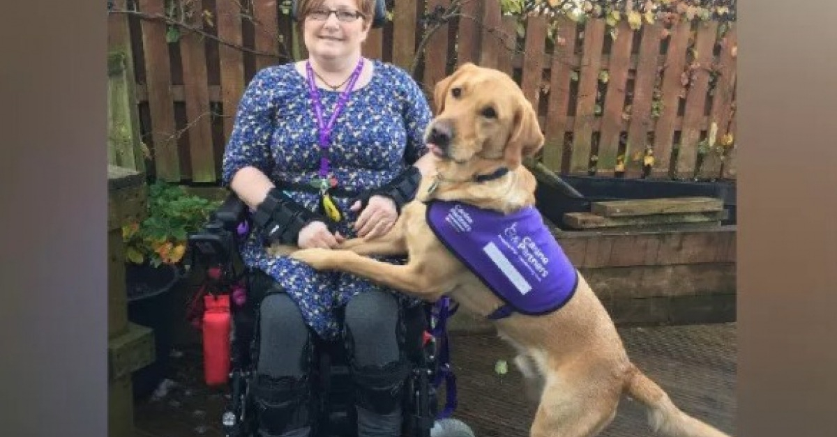 Vinnie, le chien d’assistance, a transformé la vie de sa maîtresse ...