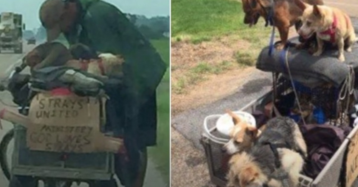 Grâce à la gentillesse d’une inconnue, ce SDF quitte la rue et offre ...