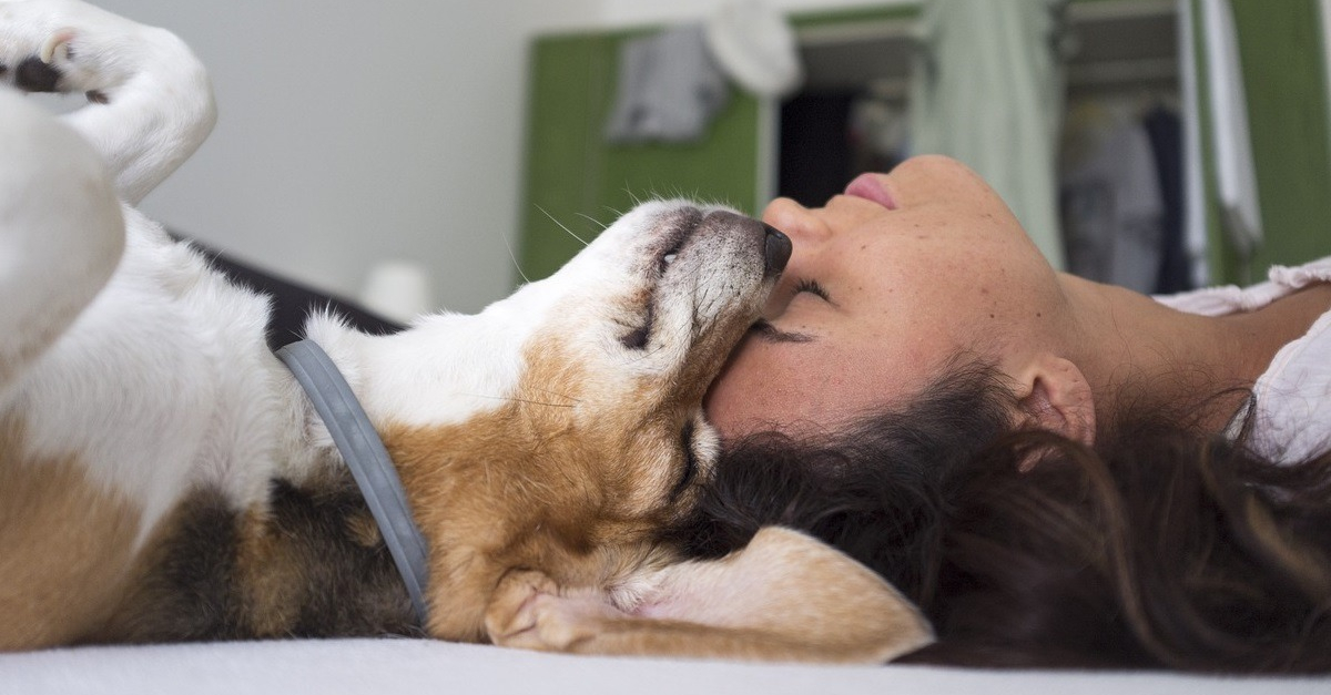 Testez, évaluez et découvrez gratuitement les meilleurs produits pour ...