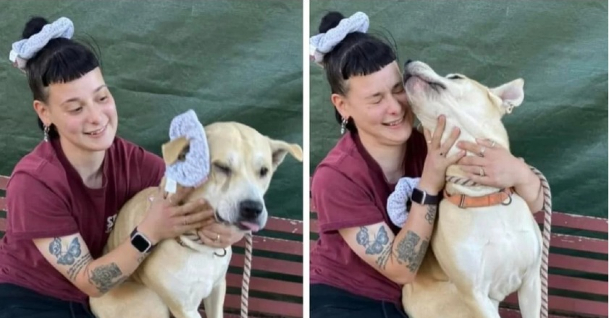 Cette jeune femme a décidé de tout quitter, afin de se dévouer ...