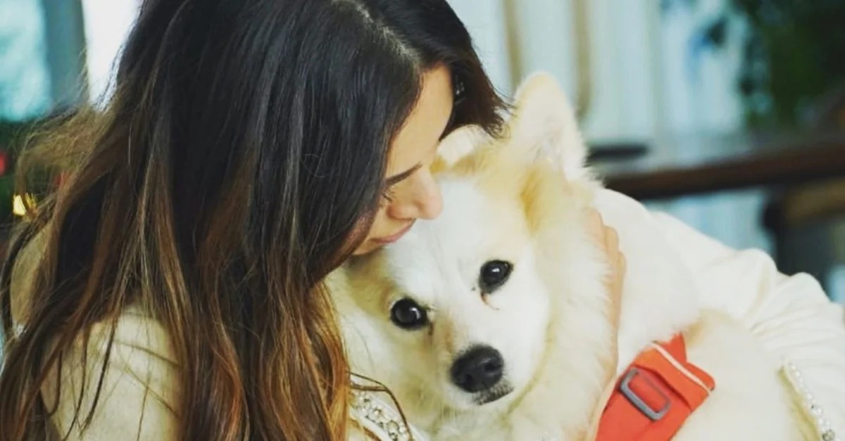 Ce croisé Spitz joue les coach fitness pour le plus grand plaisir de sa ...