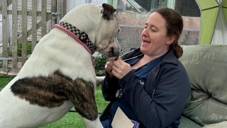 Cette femme répond aux personnes qui imaginent qu’adopter un animal abandonné est dangereux
